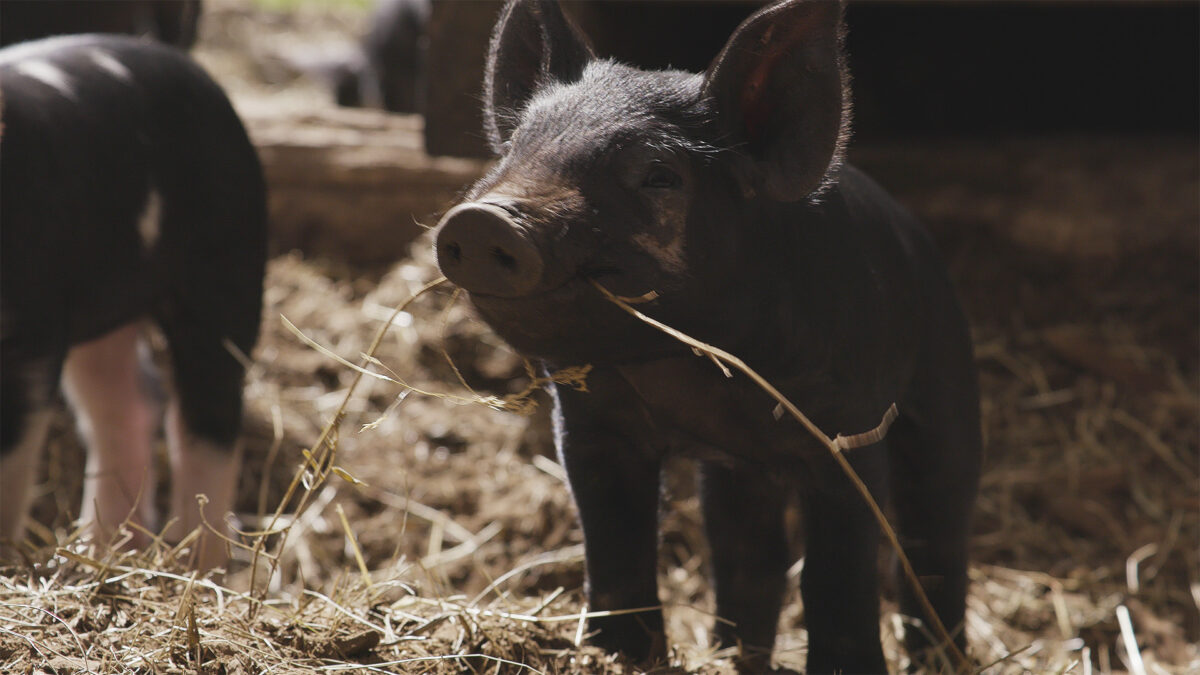 The Story Exchange - Inspiration & Information for Entrepreneurial Women