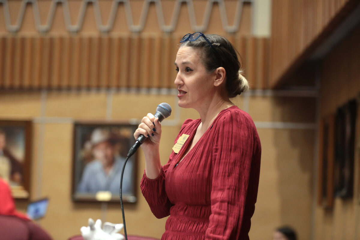 A State Senator Just Announced She’s Getting an Abortion. This is Why ...