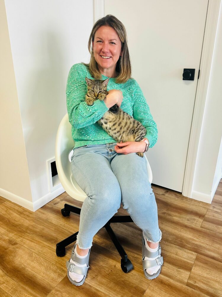 How to Manage Stress, With Cuddly Cats