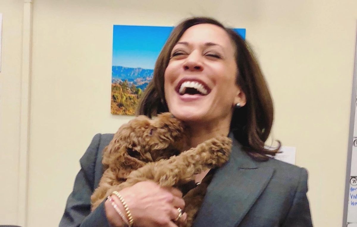 7 Hilarious Kamala Harris Memes and Videos Taking Over Social Media